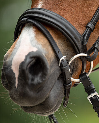 Bitten voor je paard online kopen | kramer.be