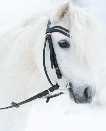 Bitten voor je paard online kopen | kramer.be